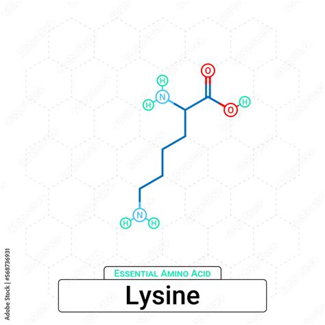 Lysine Chemical Structure Essential Amino Acid Organic Molecules