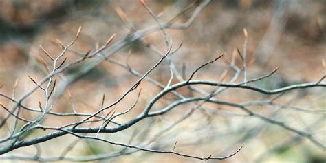 How To List Branches In Git