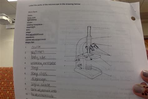 Microscope Quiz Part 2 Diagram Quizlet