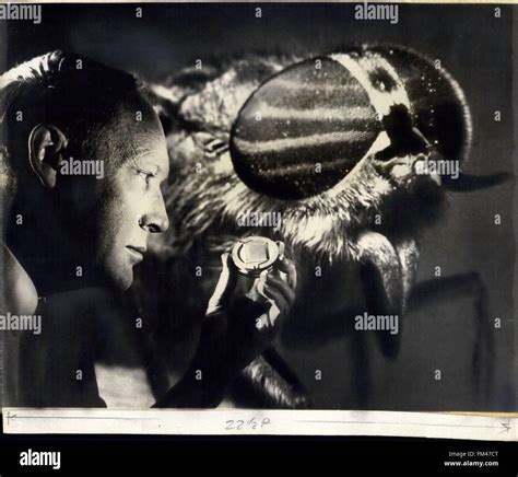 1959 Flys Eye Electron Lens Flys Eye Electron Lens That Will