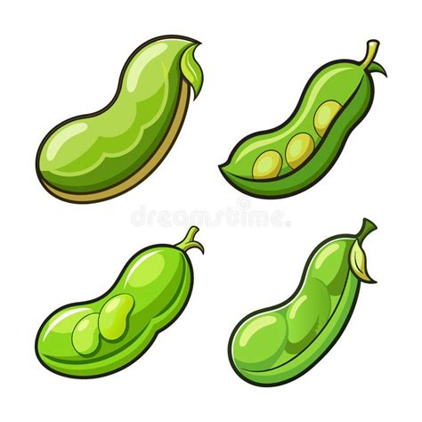 Fresh Lima Bean Vegetable Color Illustration Stock Illustration Illustration Of Cartoon