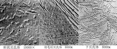 学术干货∣带你遍赏钢铁家族中各种组织（形貌、生长特点及性能） 材料牛