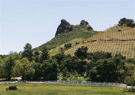 About Us Malibu Wines