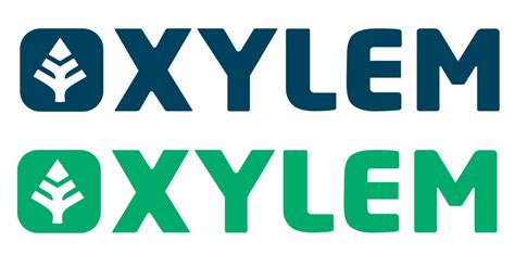 സൈലത്തിൽ നിന്നും കേരള ടോപ്പേഴ്‌സ് Xylem Learning Nta Jee Main Results