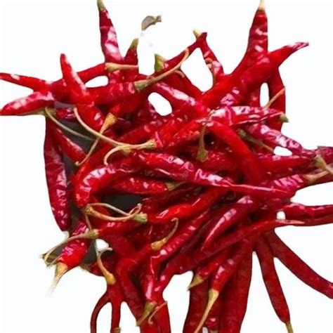 S17 Teja Red Chilli Packet 1 Kg At ₹ 185 Kg In Mumbai Id 2852960073133