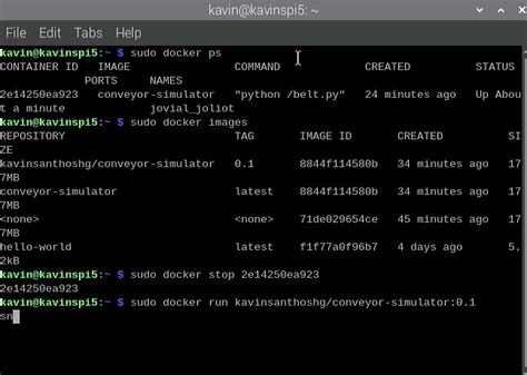 Docker Containers Dockerhub Dockerengine Dockerdesktop Azure Iot Raspberrypi