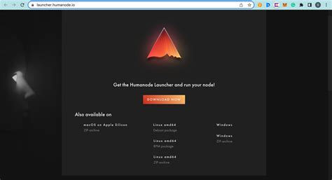 Step 1 Download And Install The Launcher Humanode Mainnet