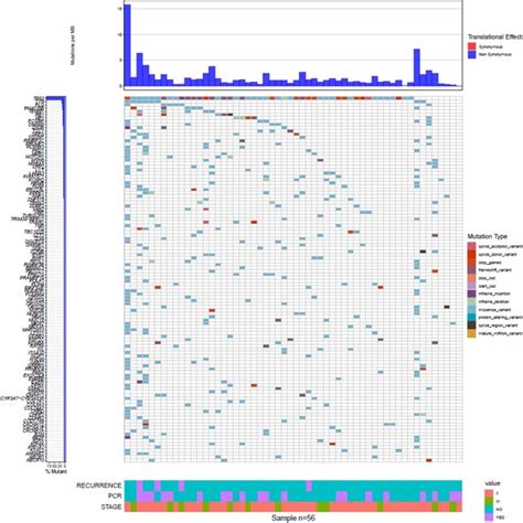 The Mutation Landscape Waterfall Plot Of Genes With A Non Synonymous Download Scientific