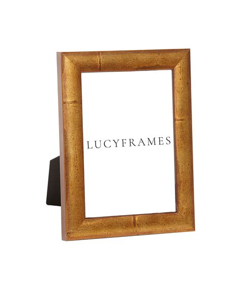 Telma Gold Frame Lucyframes