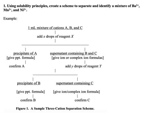 Solved 1 Using Solubility Principles Create A Scheme To