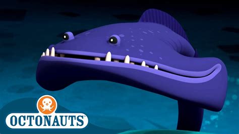 Electric Eel Octonauts At Walter Belin Blog