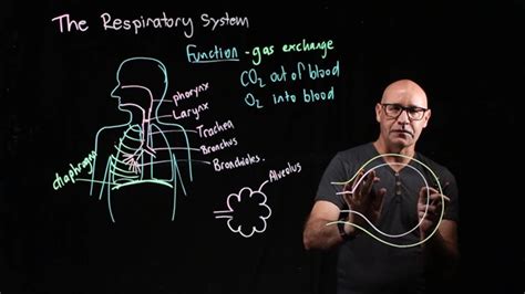 Embedded Online Player Clickview Embedded Online Player Clickview