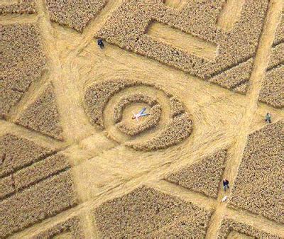 Crop Circle The All Seeing Eye Pineal Gland Psychedelic Adventure