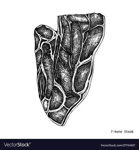 T Bone Steak Drawing