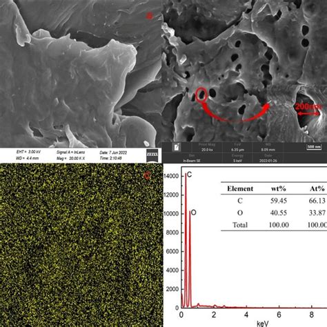 Sem Morphologies Of A Ch And B Mwcntsch 1 Wt Edx Map Analysis