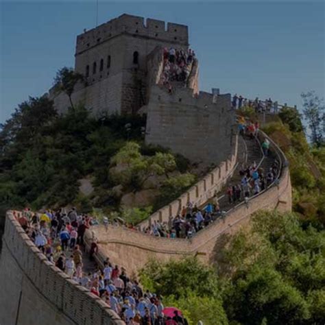 هلدینگ نیکان