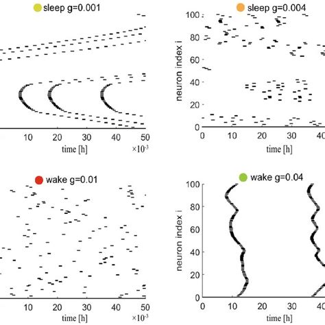Synchronization Diagrams Of The Coupled Neurons In Ring Shaped Regular