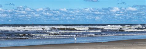 Activities Guided Tours And Day Trips In Imbé