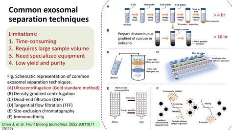 A Brief Review Of Exosome And Its Detection Pptx
