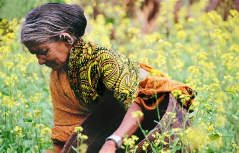 India Through The Eyes Of Barbara Macklowe Jaipur Journal
