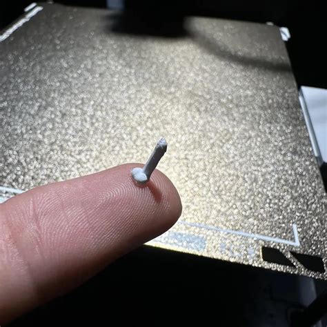 Nsfw Micro Weenie By Deltree3d Makerworld Download Free 3d Models