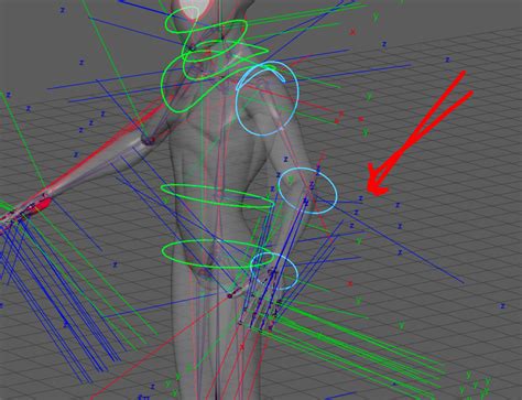 How Do I Flip The Z Axis On The Bones To The Other Side Rmaya