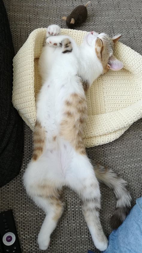 My Favorite Position R Aww