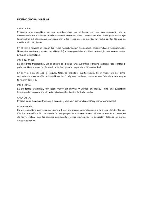 Incisivo Central Superior Incisivo Central Superior Cara Labial Presenta Una Superficie