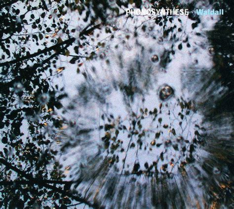 Phonosynthese Jan Truller Jörg Gillmann Nikolas Waldall Kaufen Auf Ricardo