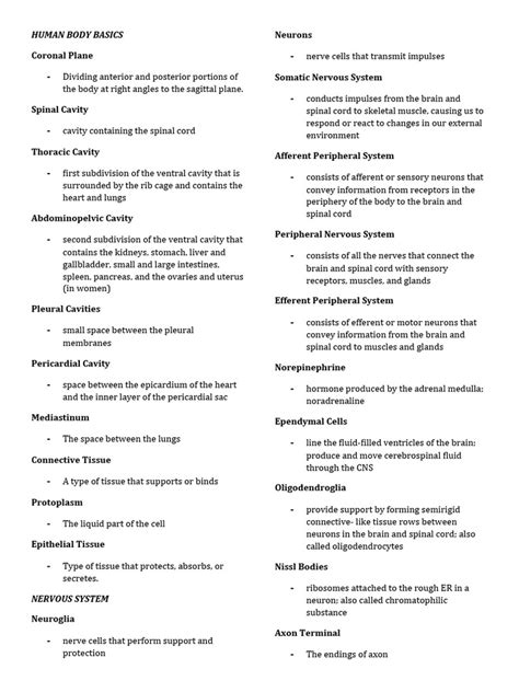 Human Anatomy Terminologies Pdf Aorta Stomach