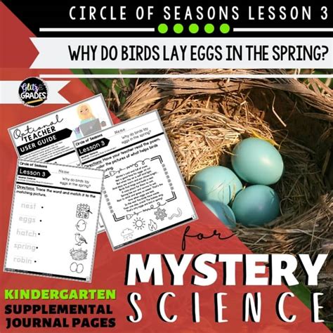 Mystery Science Kindergarten Supplement Circle Of Seasons Lesson 3 Birds Nesting