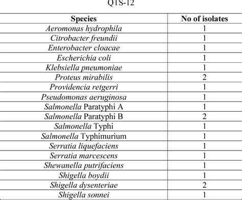 Api Identification System Tda