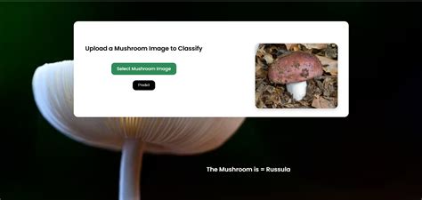 Github Rohitmh09ai Mushroom Classification Analysis