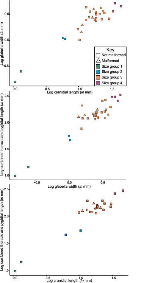Natural Log Normalised Bivariate Plots Of Odontopleura Sinespinaspis Download Scientific