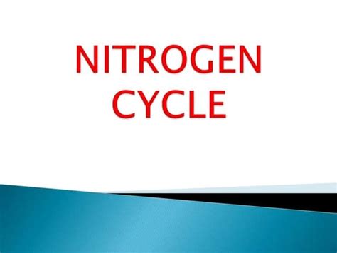 Biological Nitrogen Fixation Pptx