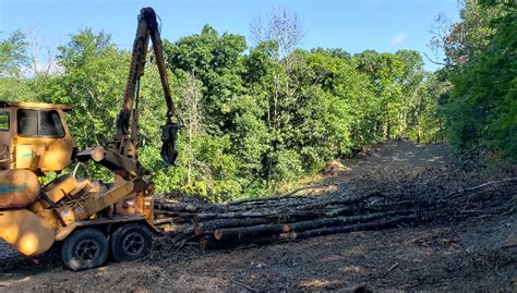 1 Tree Clearing Services For Commercial Projects In Ny And Ct