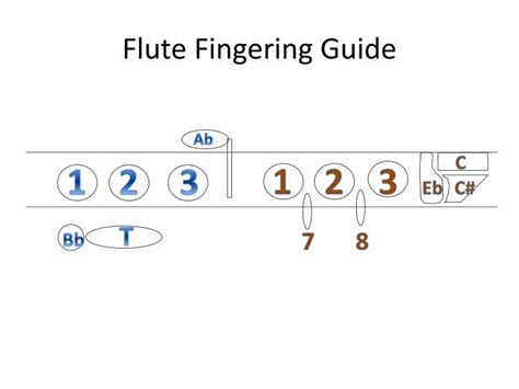 Ppt Flute Fingering Guide Powerpoint Presentation Free Download Id