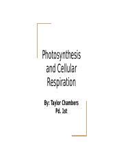 The Basics Of Photosynthesis And Cellular Respiration Exploring