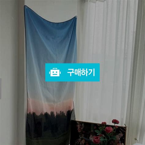 대형 쉬폰 커튼 패브릭 포스터 창문 벽 가리개 가림막 천 얇은 입구 행잉 34900원 댕유마켓님의 스토어 디비디비