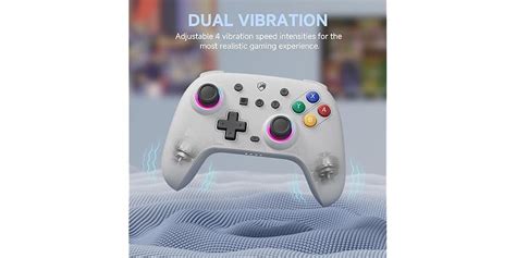 Echtpower Controller For Switch Lite Oled