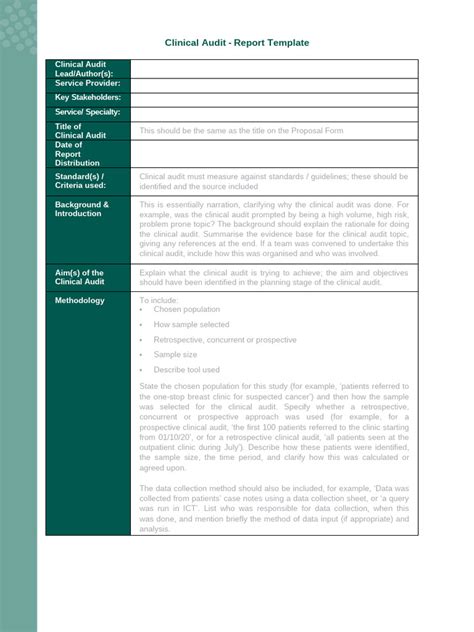 Clinical Audit Report Template Pdf Audit