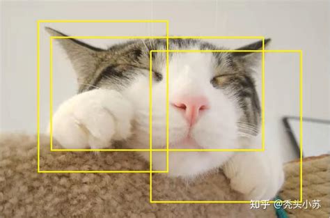 深度学习实例分割篇Mask RCNN原理详解篇 知乎