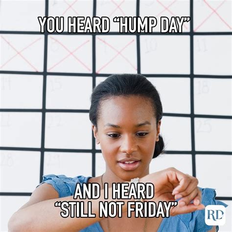 25 Hump Day Memes That Make Wednesdays Bearable
