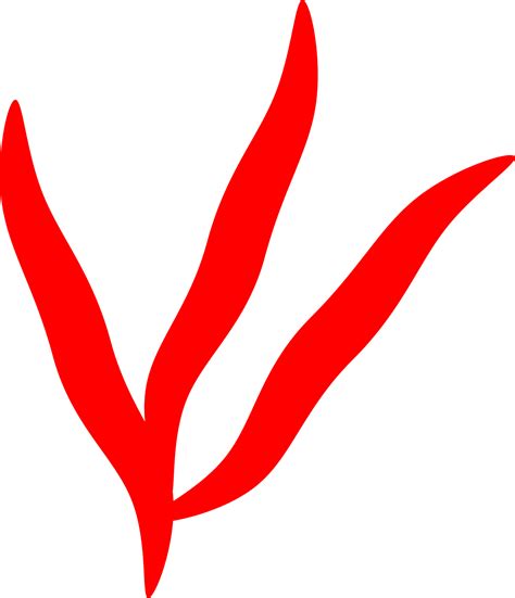 Cute Algae Coral 27721024 Png