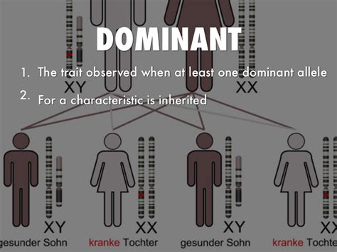 Genetic Flash Cards By Rashaunea Ambers