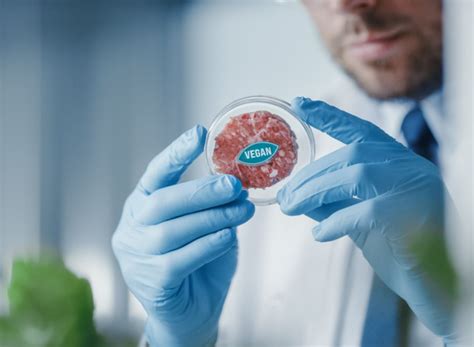 Are Plant Based Meat Alternatives Really Healthier Than Meat