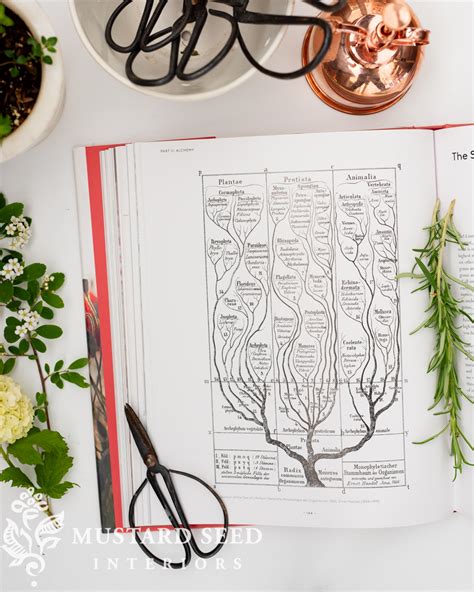 Whats In My Gardening Books Stack Miss Mustard Seed