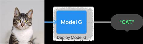 Deeping Source Anonymizer Privacy Preserving Ai Video Analytics