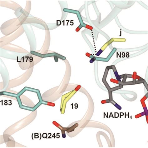 The Asymmetric Synthesis Of Chiral Secondary Amines Via Hemiaminal And
