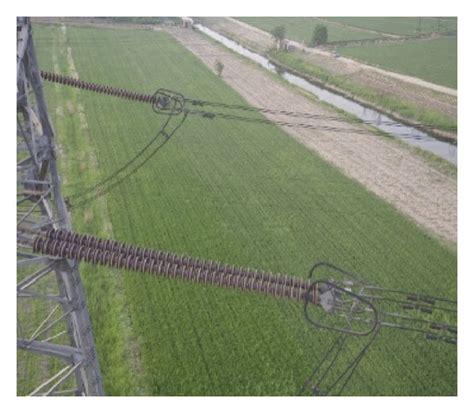 Images Before And After Rotation Download Scientific Diagram